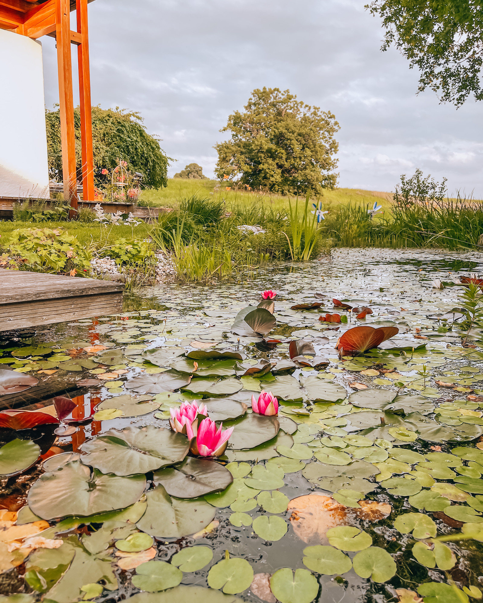 Water Magic Explained: The Profound Impact of Water on Your Life