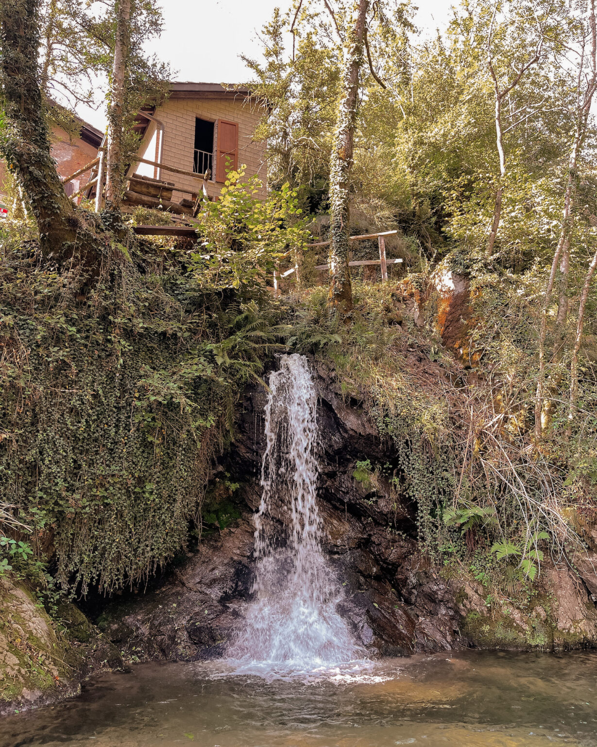 Water Magic Explained: The Profound Impact of Water on Your Life